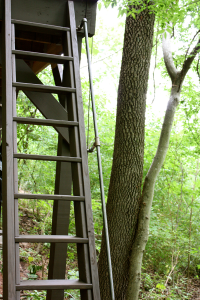 diy treehouse – M O D F R U G A L